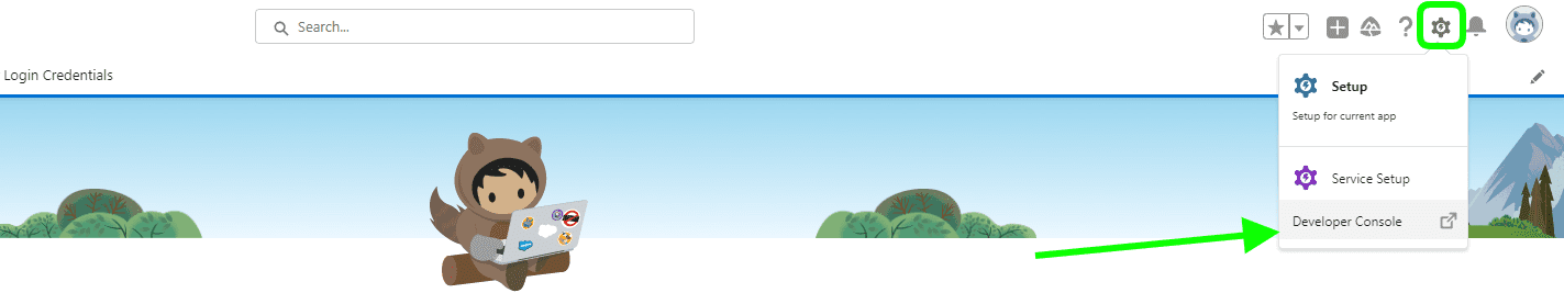 How To Access Developer Console Salesforce Example