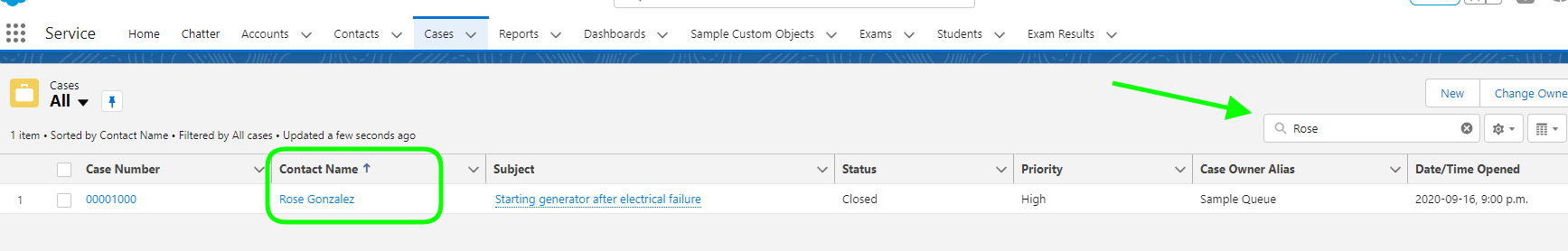 How To Make Column Searchable In Salesforce List View Example