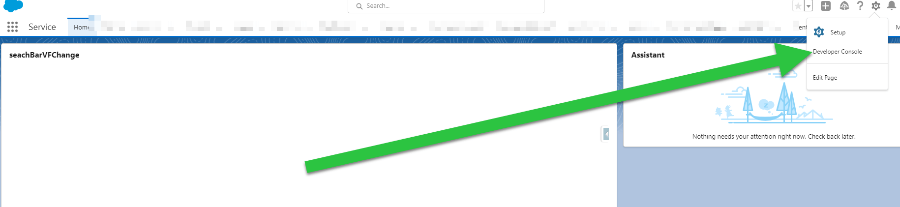 Open Dev Console Salesforce