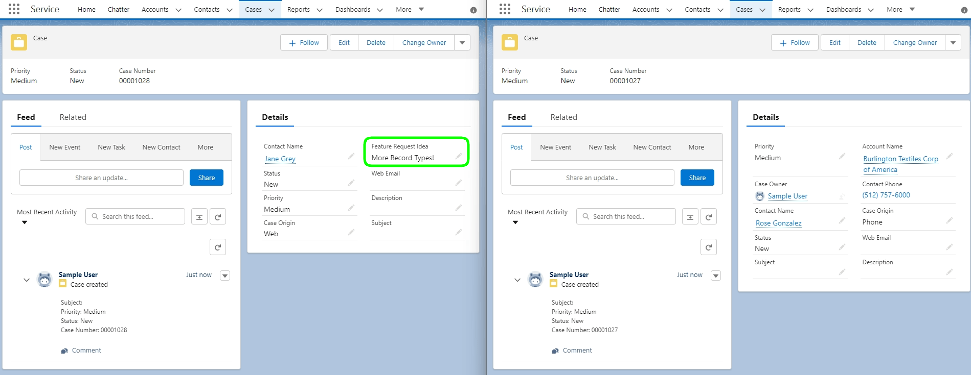 Different Page Layouts For Record Type Example