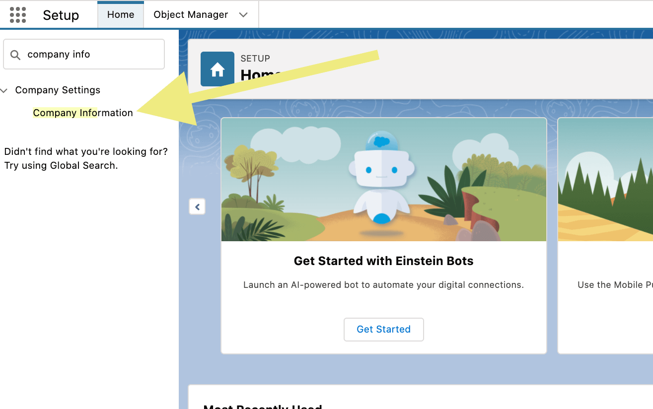 Salesforce find Company Information in setup