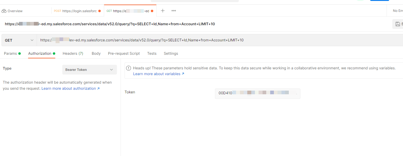 Salesforce Postman Adding Authentication token to a query