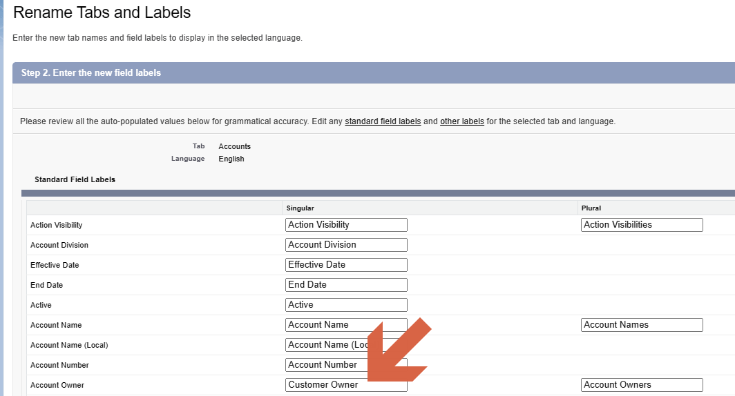 Salesforce Rename Field Label