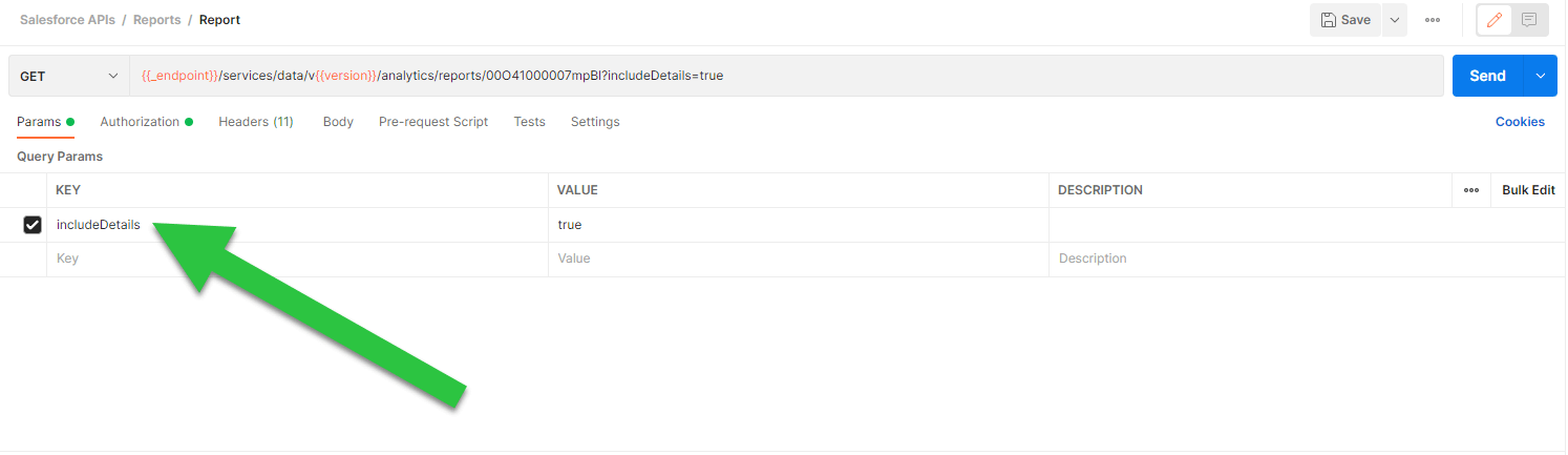 Salesforce Report Download API Params