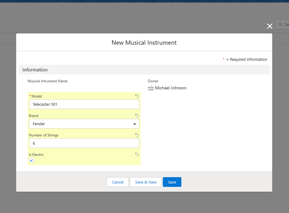 Salesforce sample custom object record being created