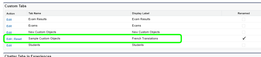 Salesforce Translate Object Name Example
