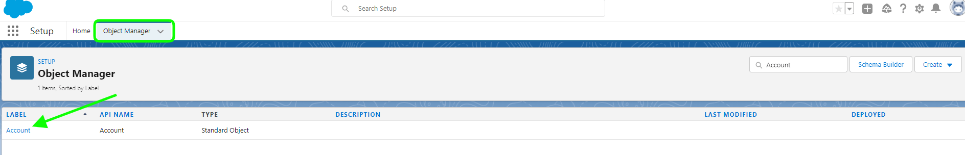 Account Object Setup Salesforce