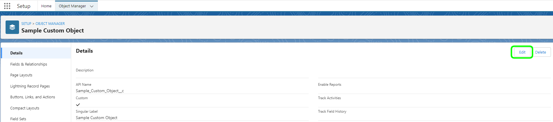 Edit Custom Object Salesforce Example