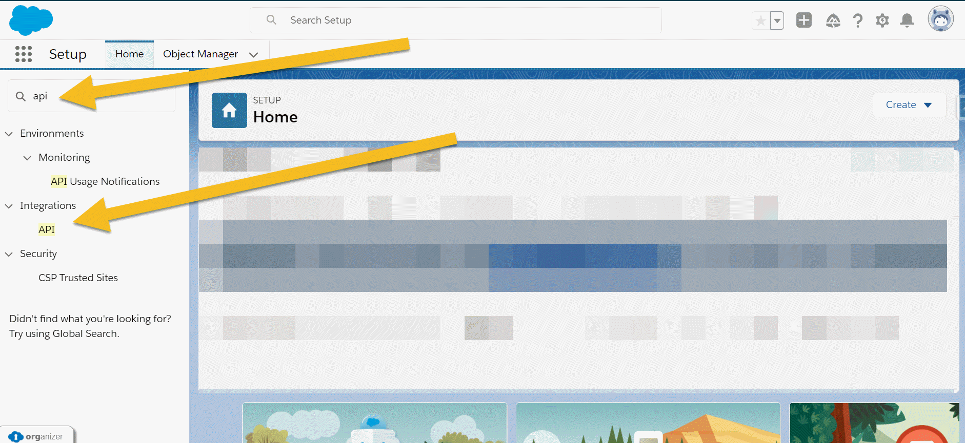 Salesforce Setup Api