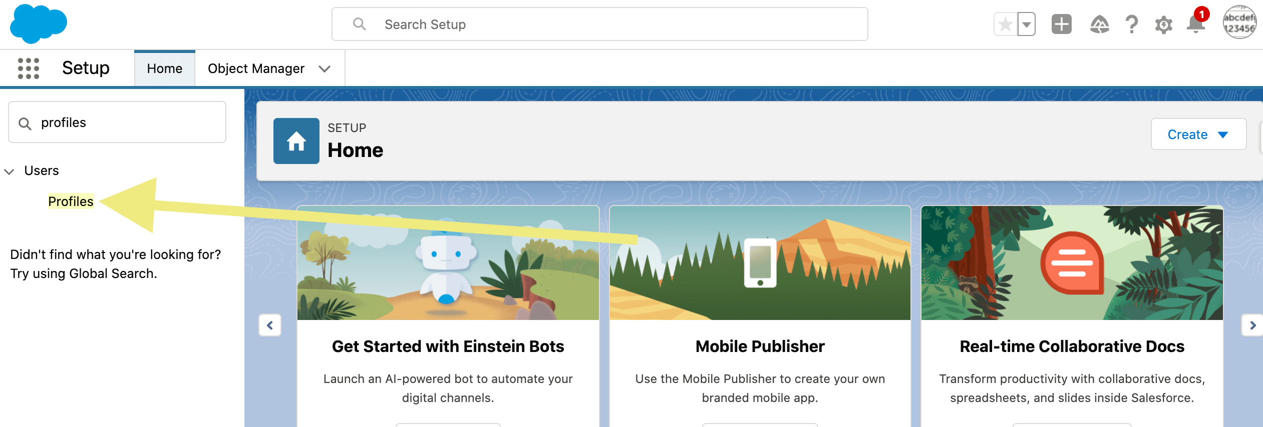 Salesforce find profiles in setup