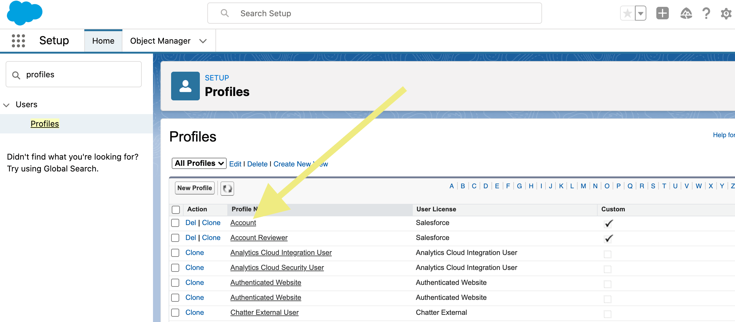 Salesforce find profile detail page