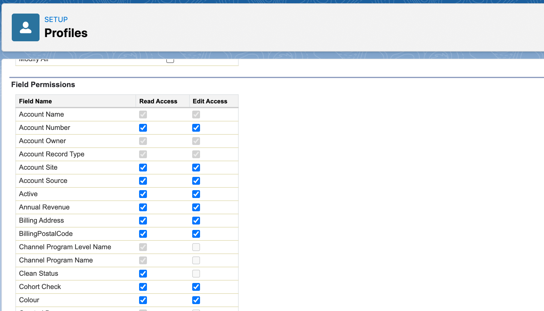 Salesforce fls profile page