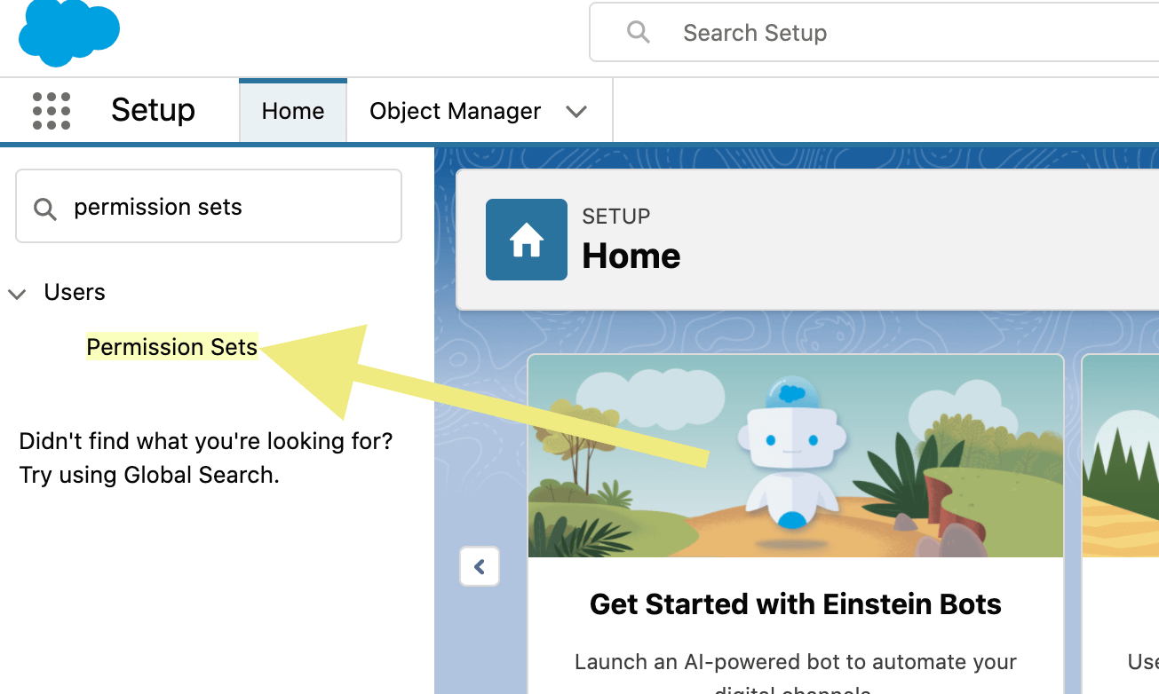 Salesforce setup permission sets link