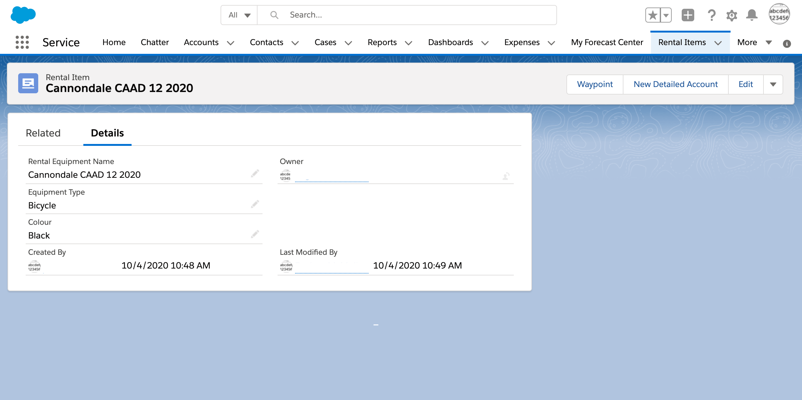 Sample Junction Object Record In Salesforce