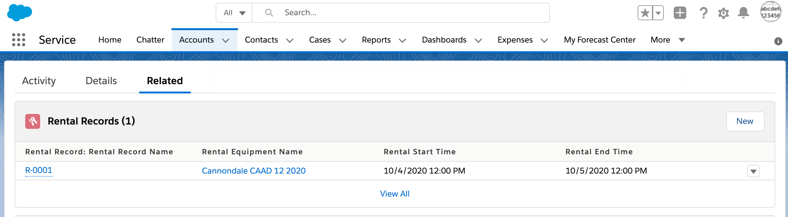 View Junction Object Record In Salesforce