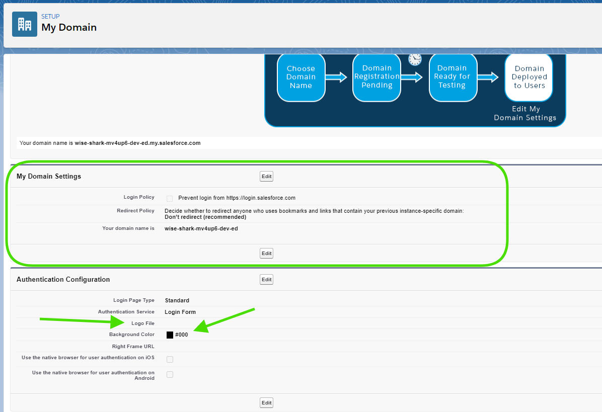 Show login options on the my domain page