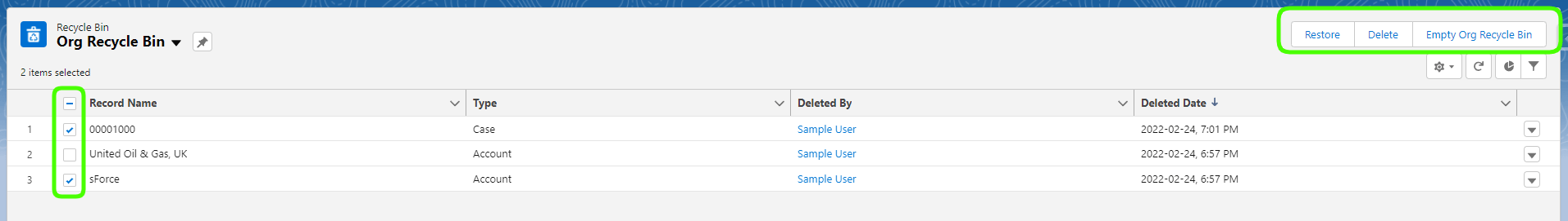 Restore Deleted Records Salesforce