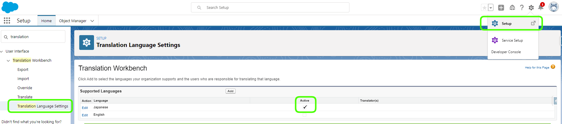 Translation language settings salesforce