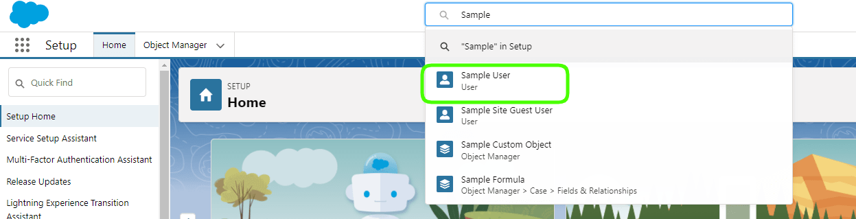 Using Search Setup In Salesforce